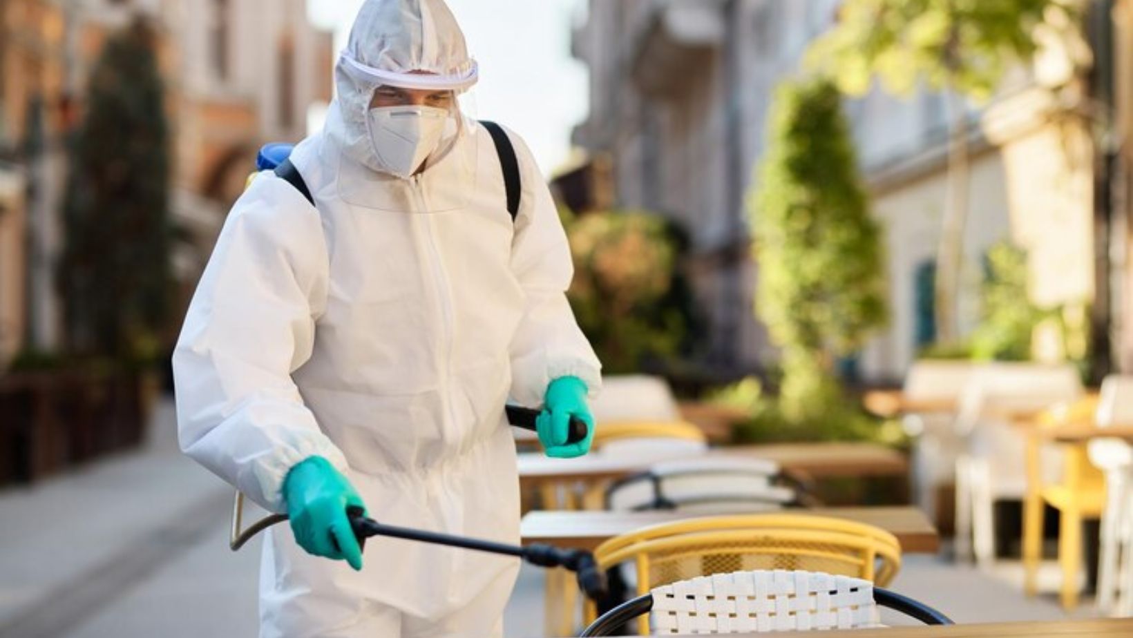 Pest Control Miami | 888-810-0136 | Pest Service Quote